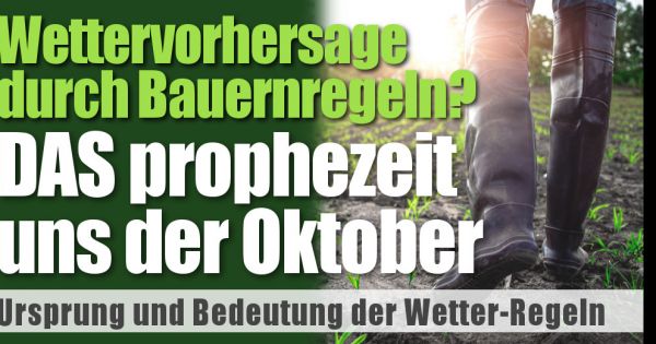 Bauernregeln: Wettervorhersage durch uralte Regeln: DAS prophezeit der ...