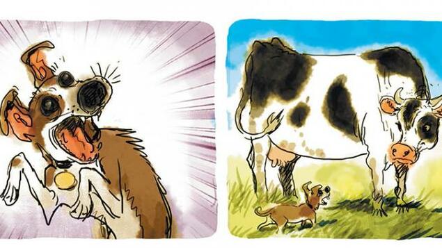 Flutkatastrophe im Live-Stream + TV: Alle Sondersendungen zum Hochwasser-Horror in Deutschland ...