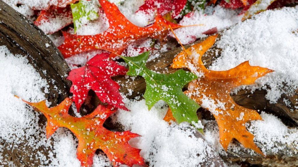 Hundertjähriger Kalender im November 2022: Starker Wintereinbruch? Das ...